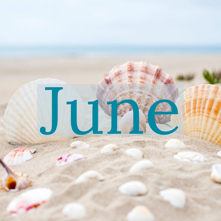 366 Day Inspiration, Encouragement, and Motivation Calendar May-August ...